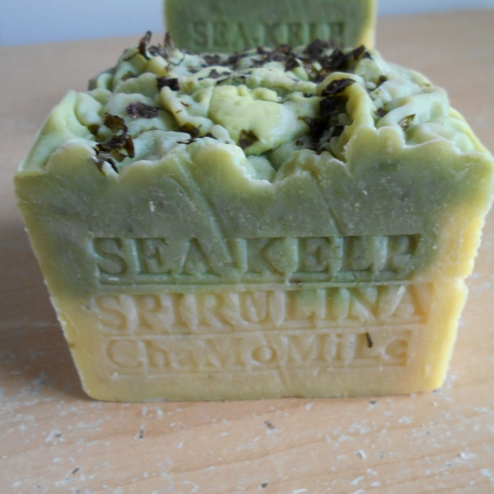 Ocean Sea Kelp -Moss Aged Natural Soap with Chamomile 14 Ounce ...